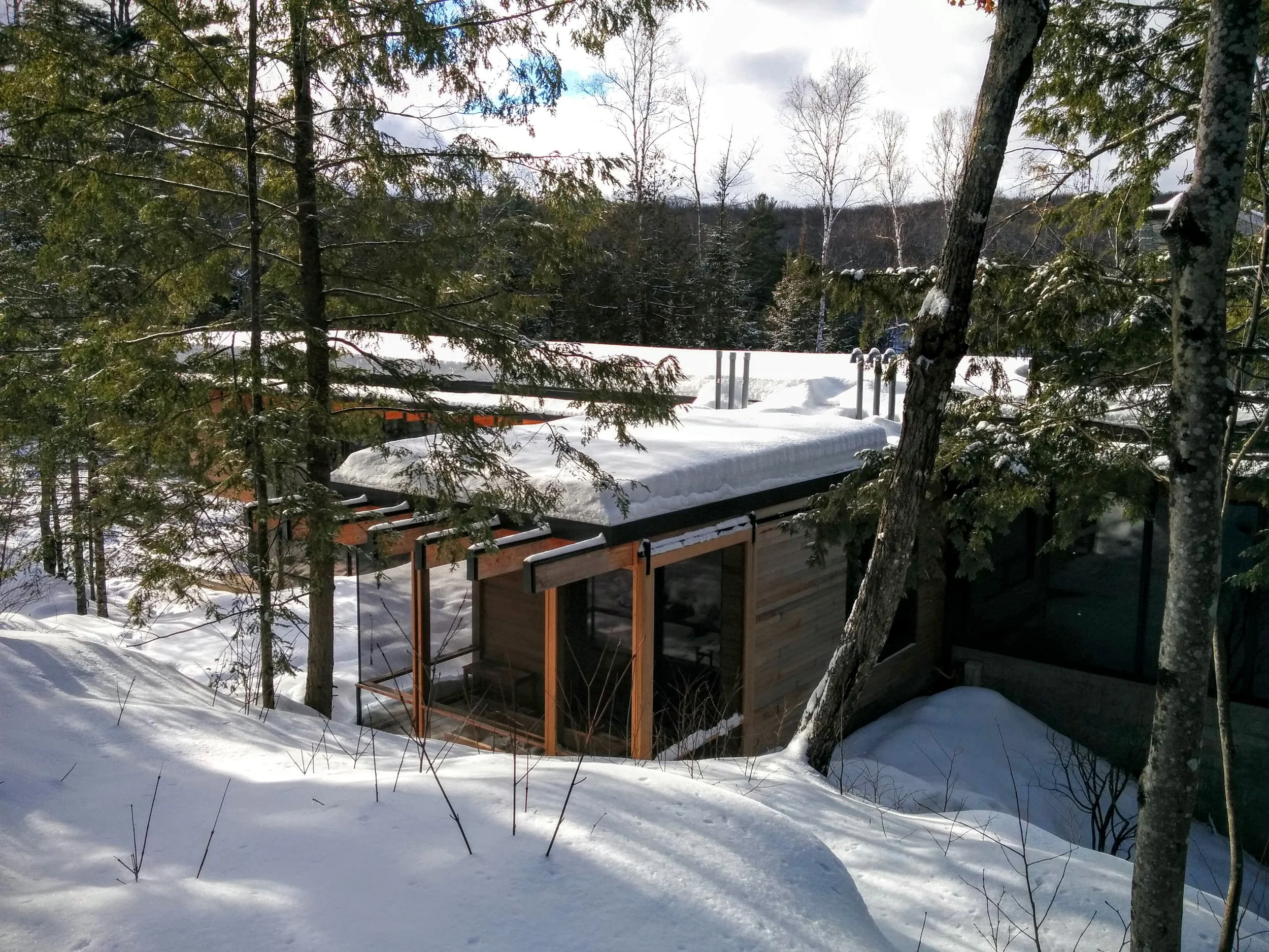The Bear Stand - Our Architectural Photo Gallery