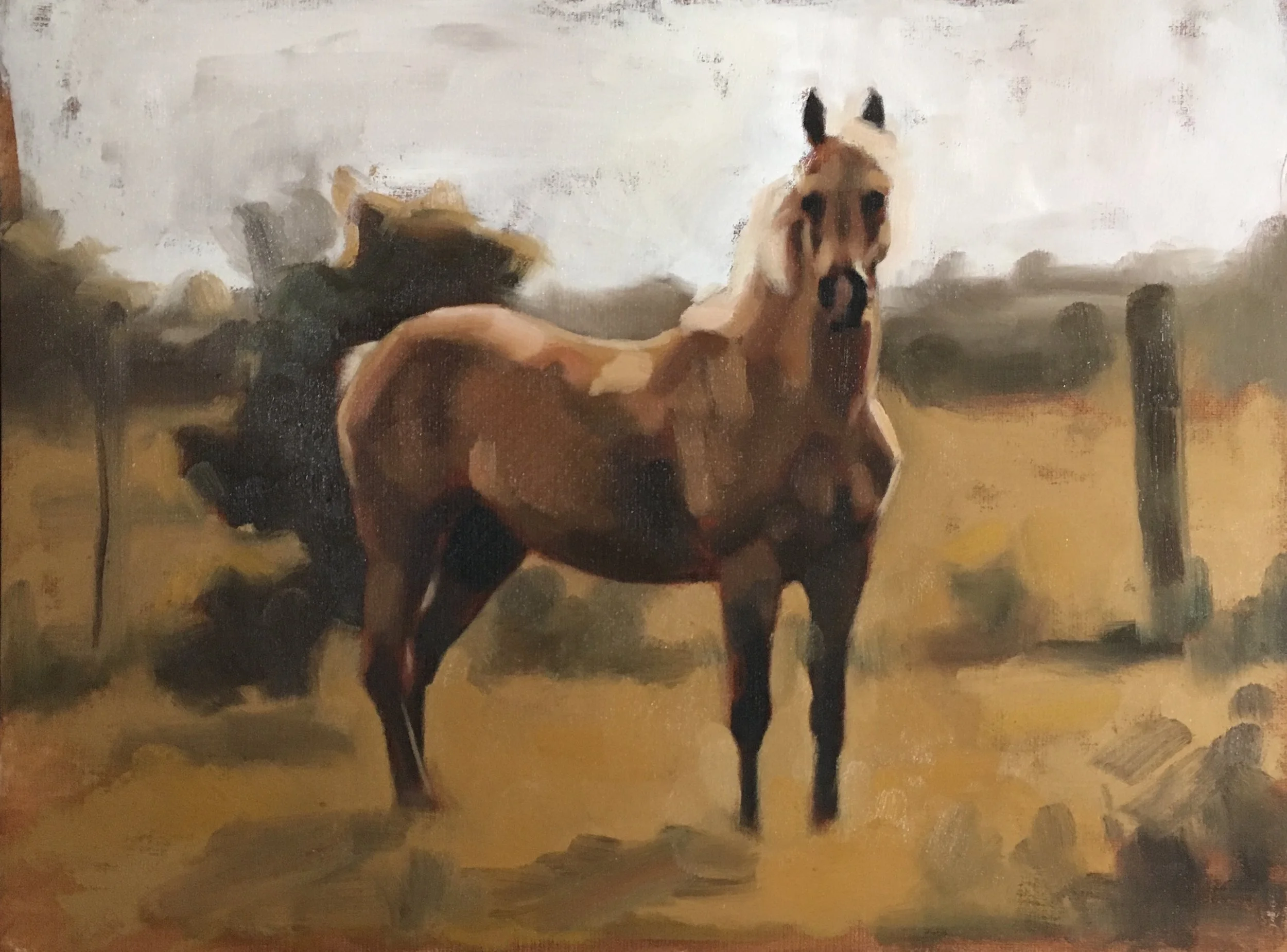 Personal Work (Uruguayan studies) — Romy Elliott