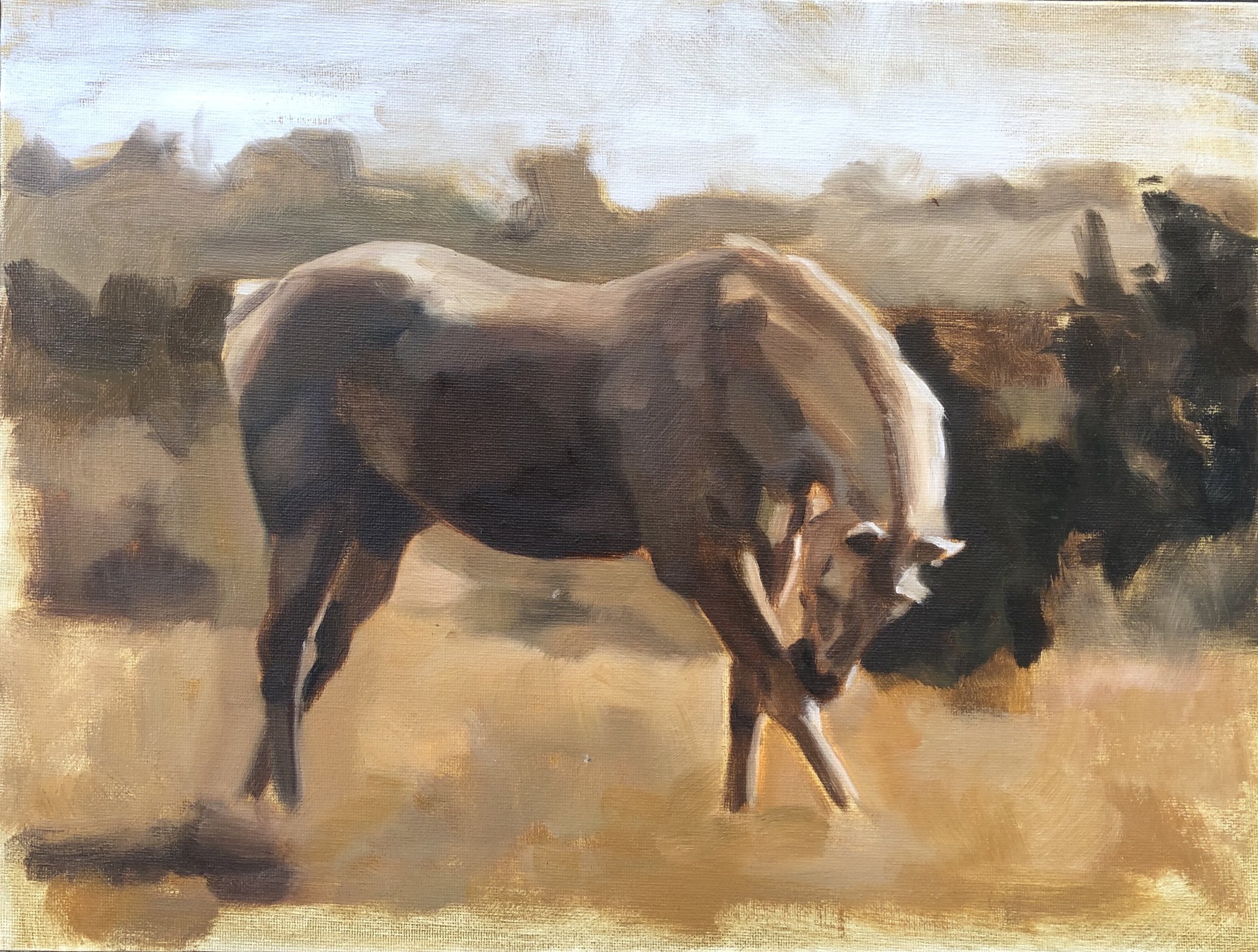 Personal Work (Uruguayan studies) — Romy Elliott