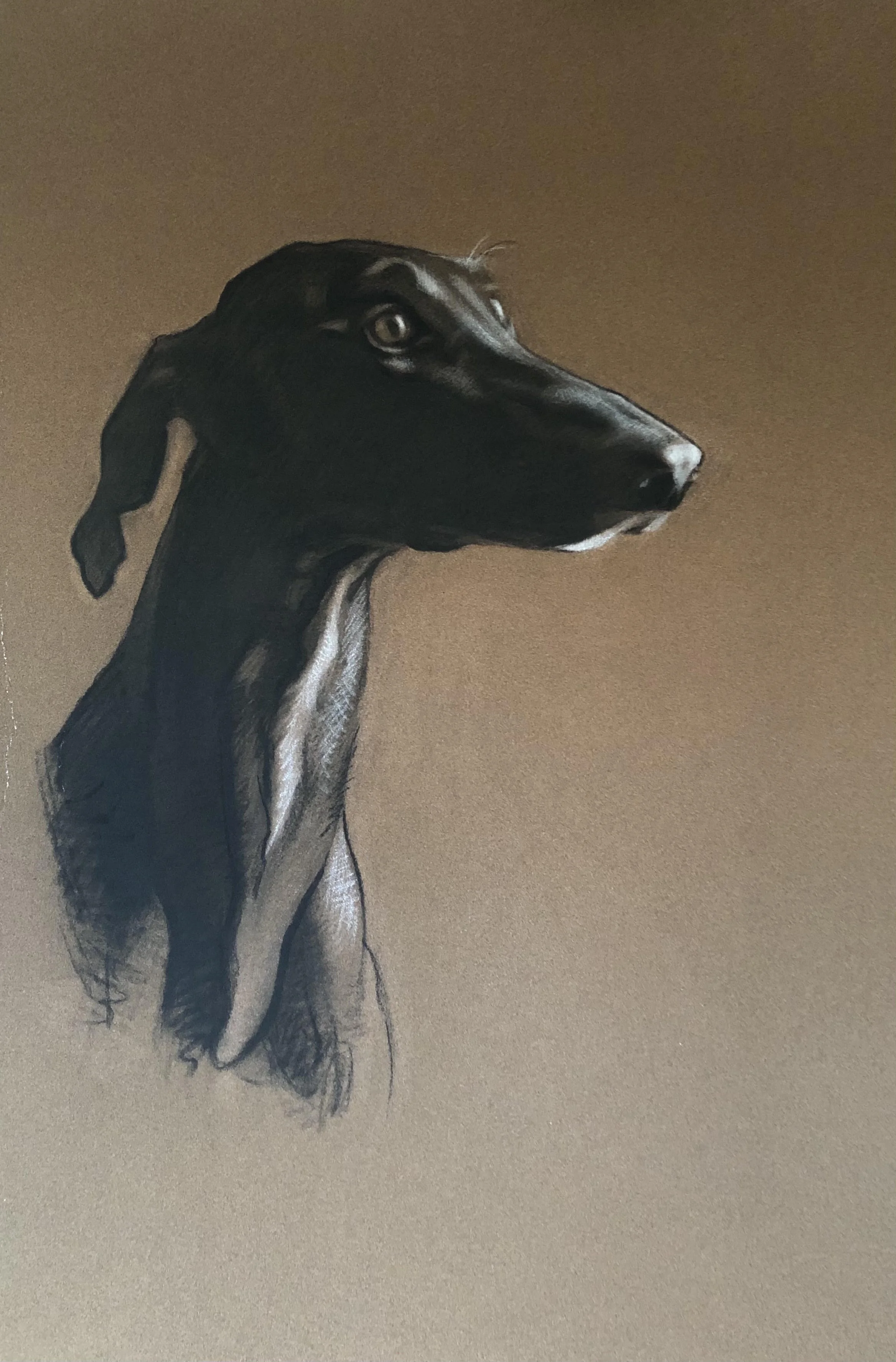 Charcoal — Romy Elliott