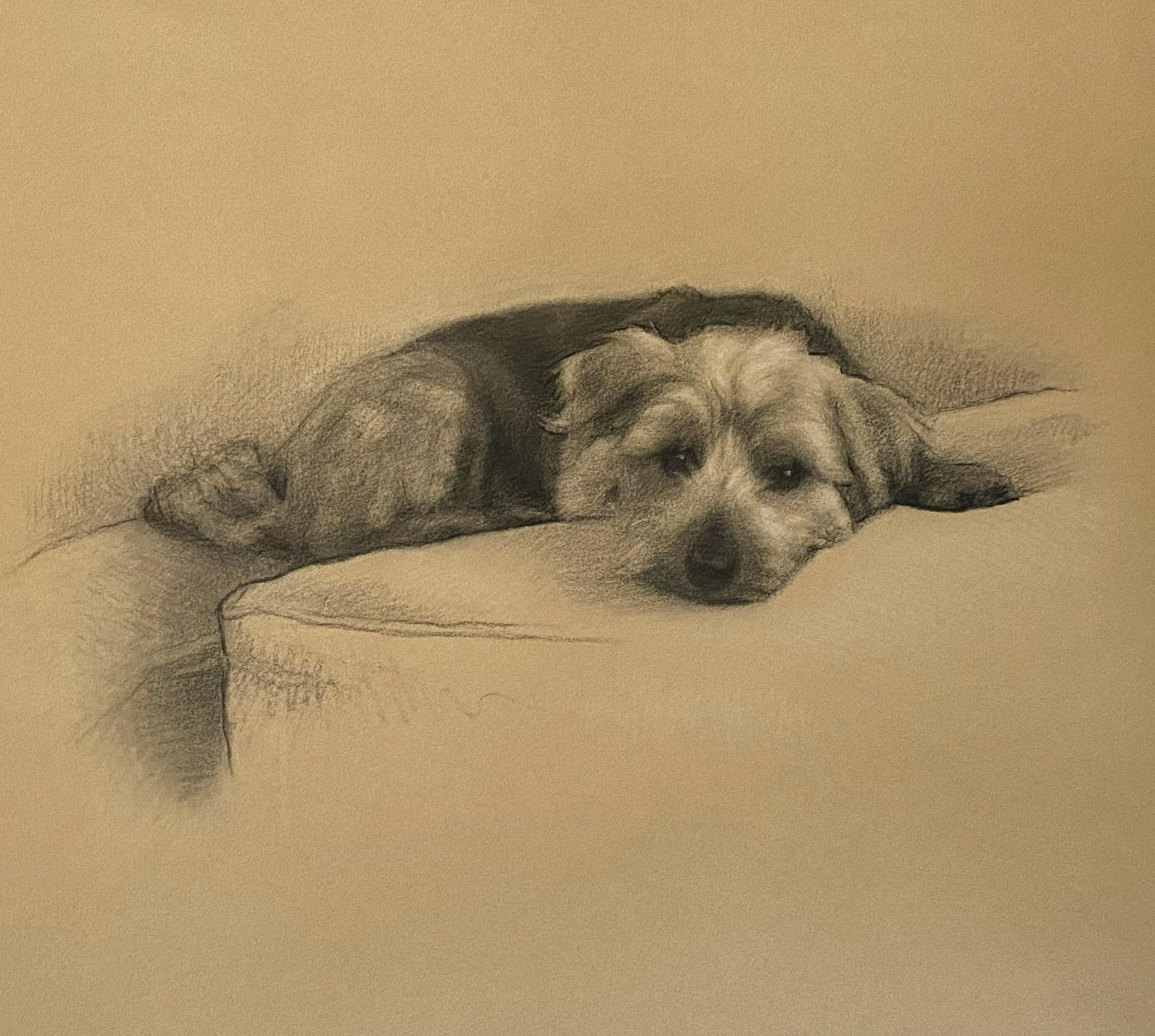 Charcoal — Romy Elliott