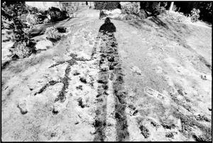 People — David Carol Photographer