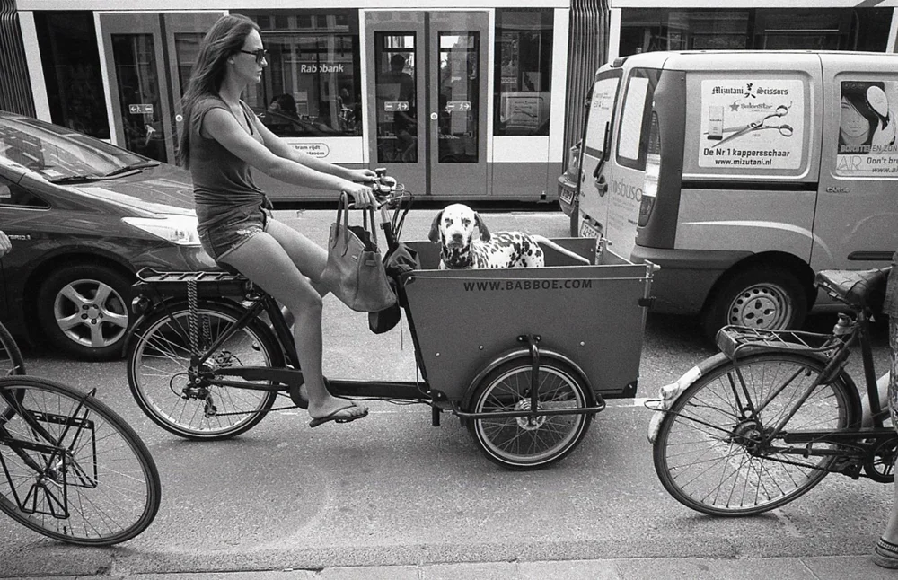 Street — David Carol Photographer