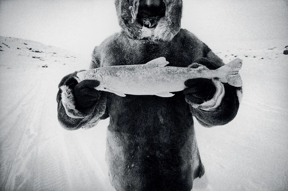 David Carol Photographer