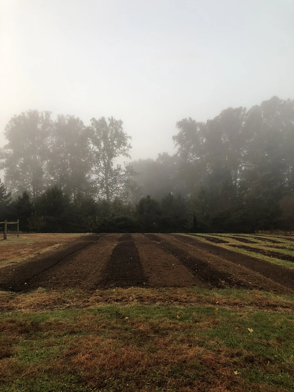 How to Make Beautiful Compost — Wildroot Flower Co.