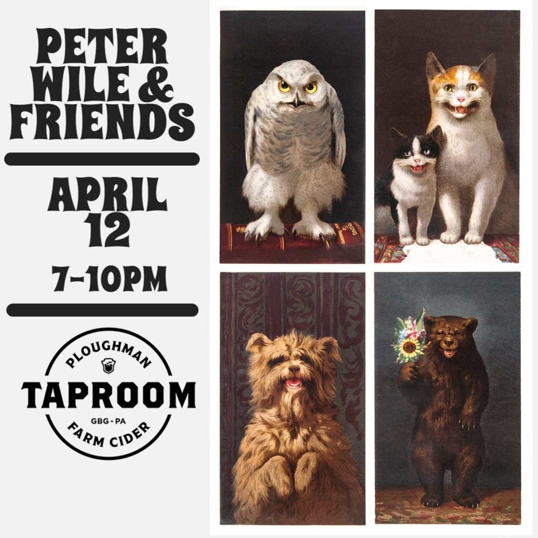 Live Music — Ploughman Cider