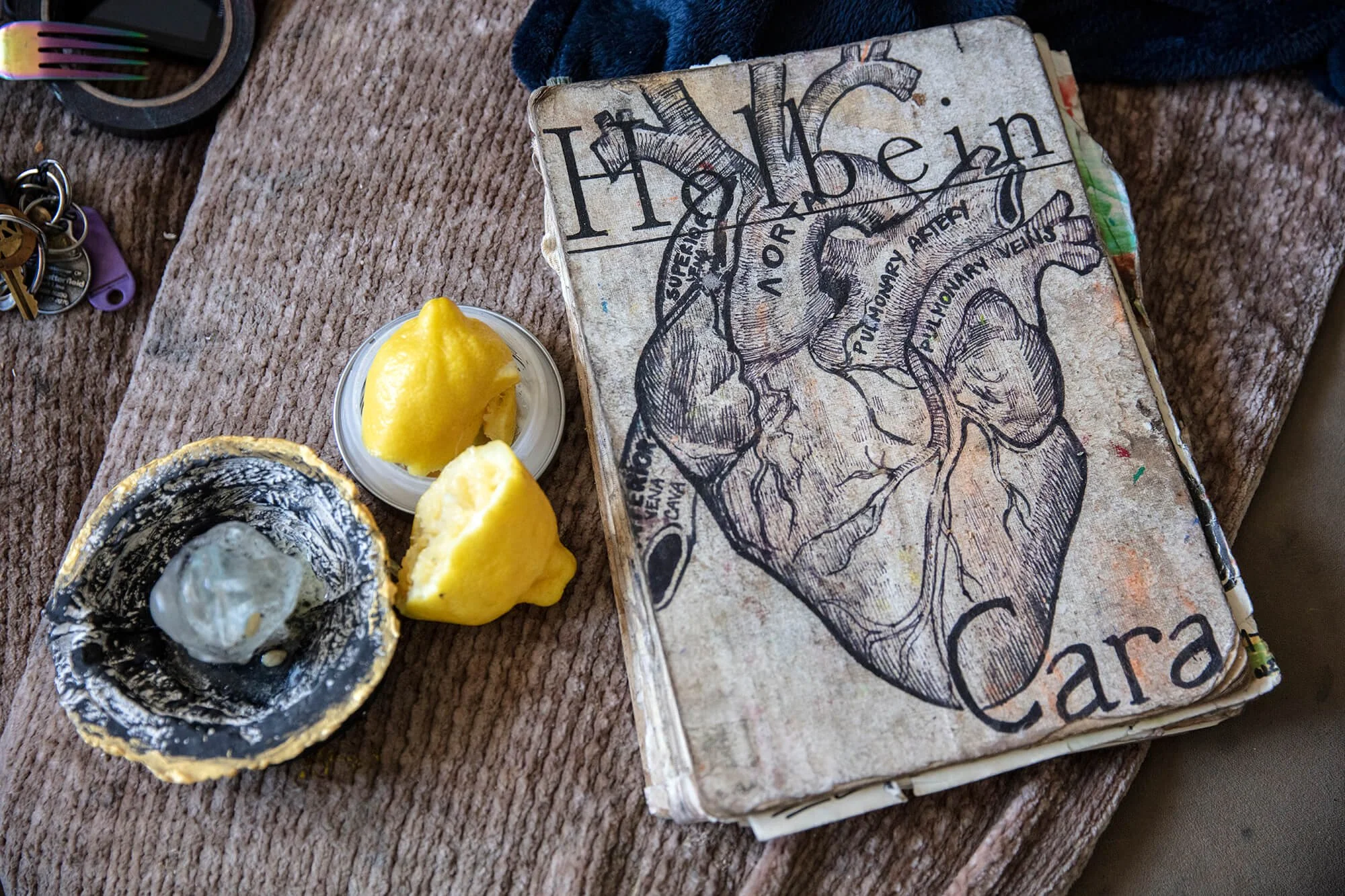 Cara Young's Instagram, Twitter & Facebook on IDCrawl