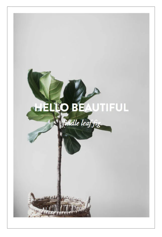 The 3 Best New Squarespace Features You Need to Try Immediately | The ...