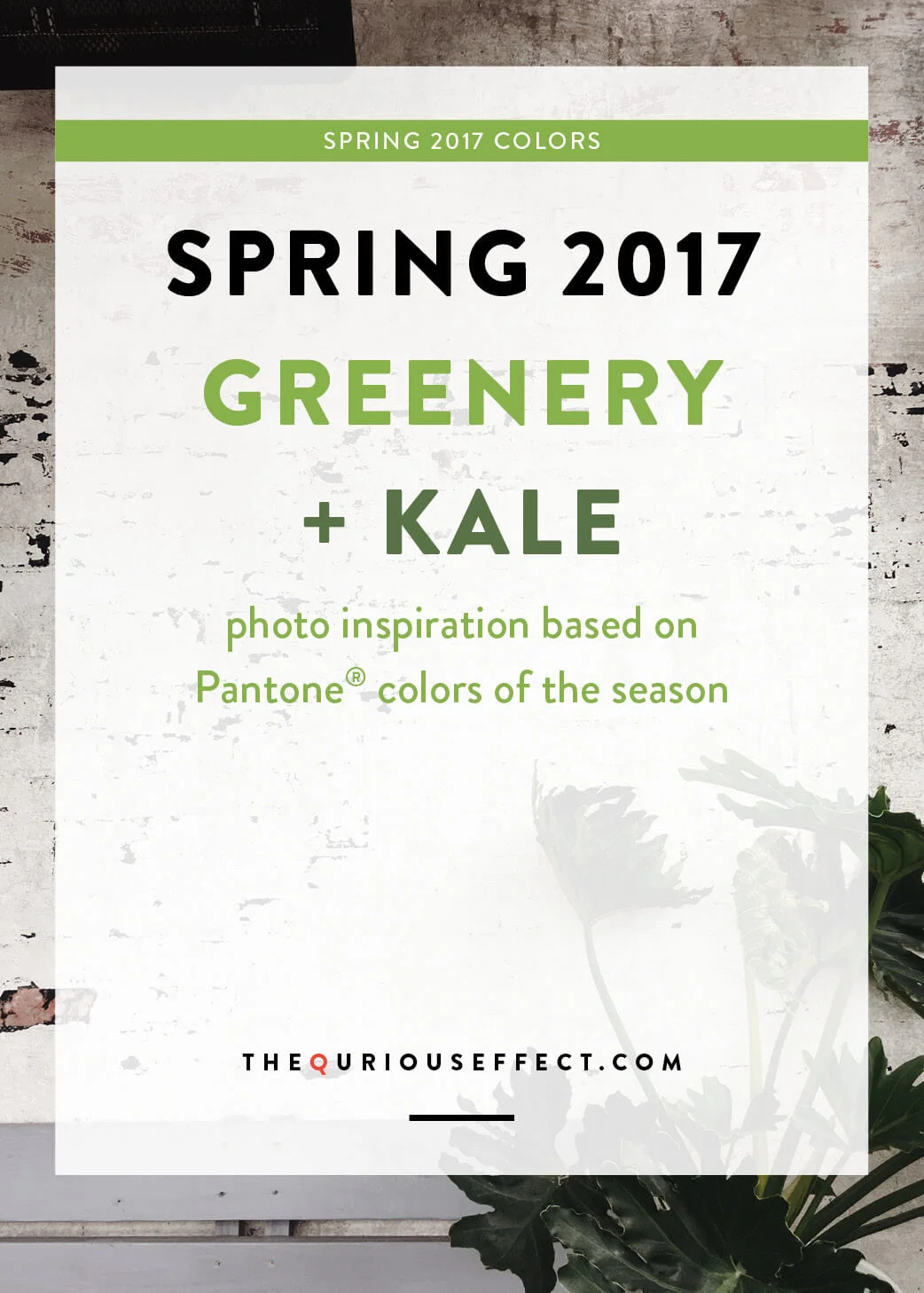 Color: Spring 2017 Greenery + Kale | The Qurious Effect