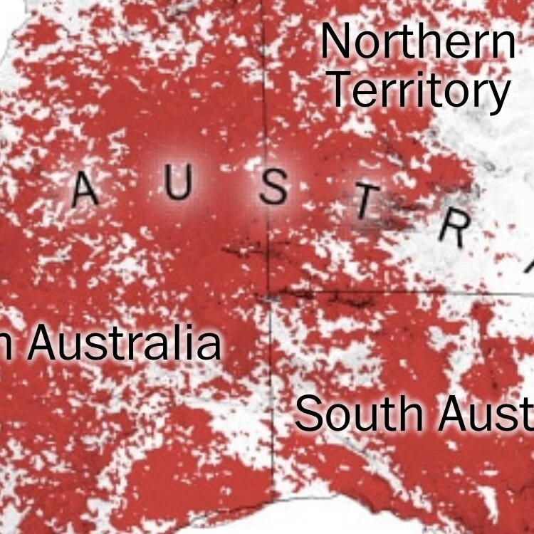 A simple and effective map design choice — Data Viz Today