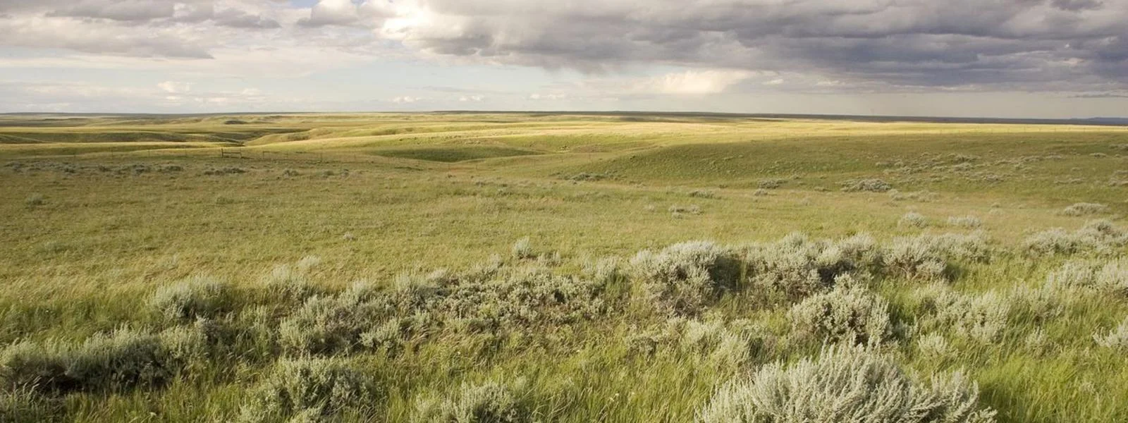 Plains — Native American Art Teacher Resources