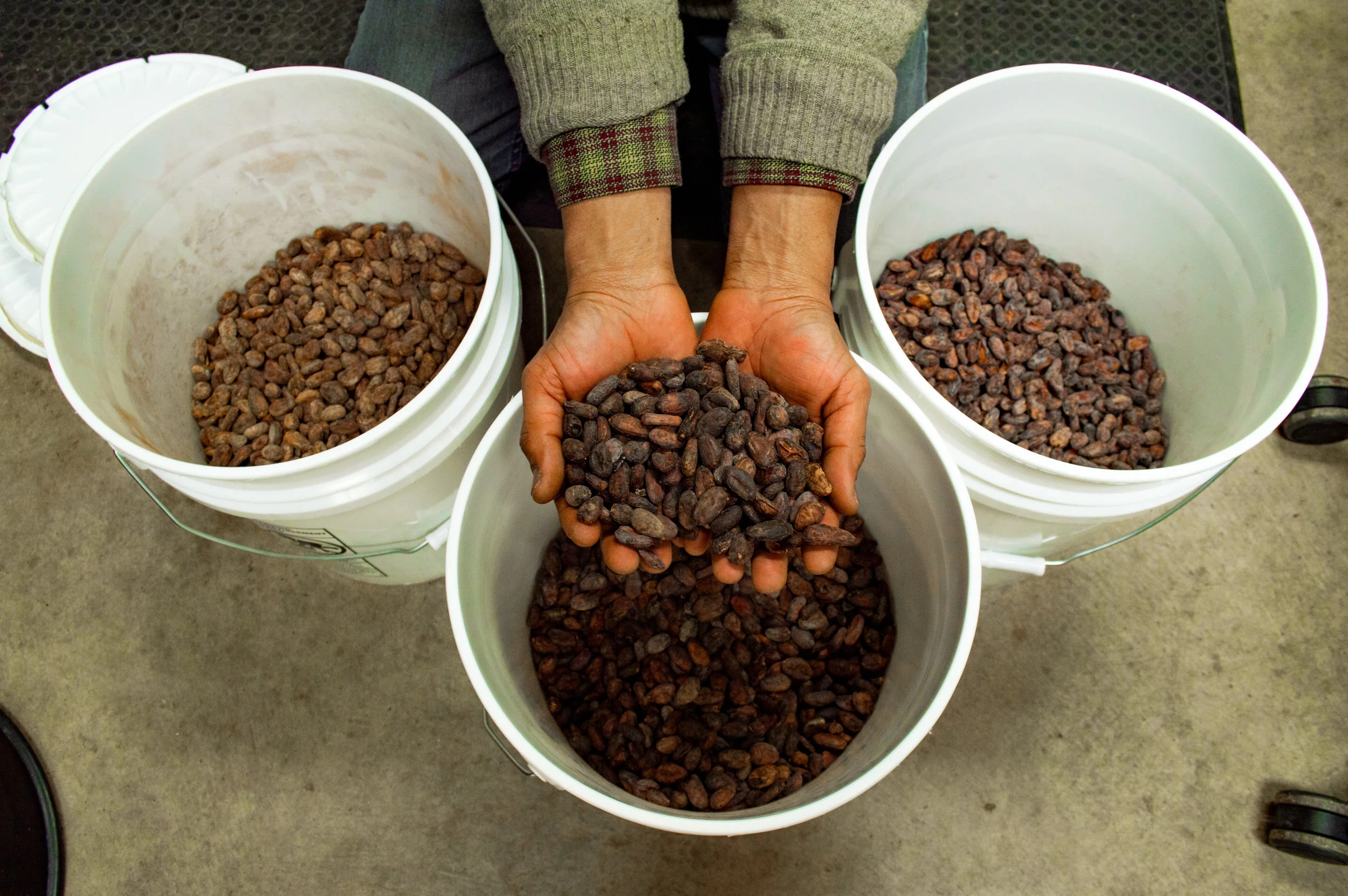 Chemical chocolate lab cooks up attention of students — The Bark