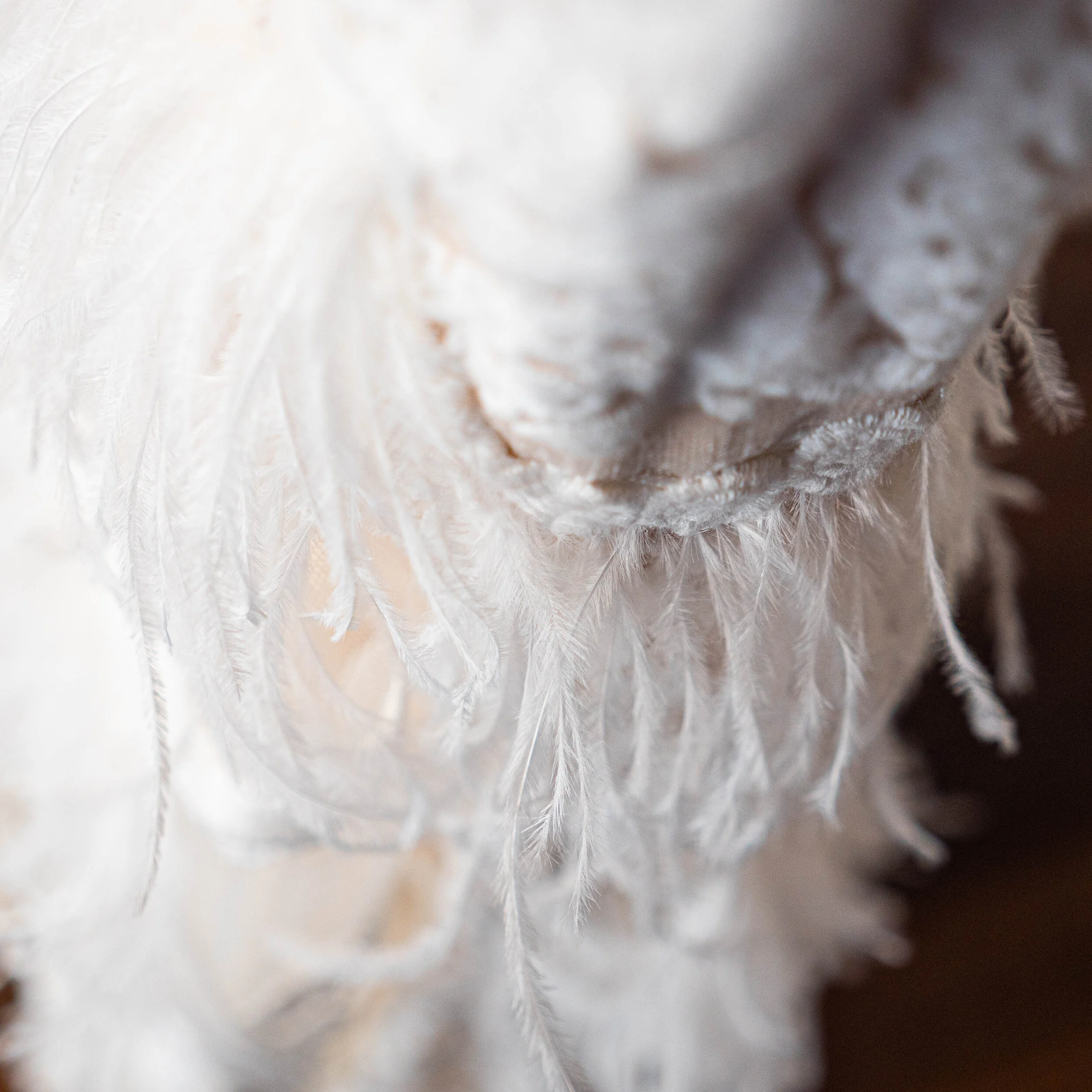 Bridal Alterations; The Peace, The Resistance — Tallgrass Tailor ...