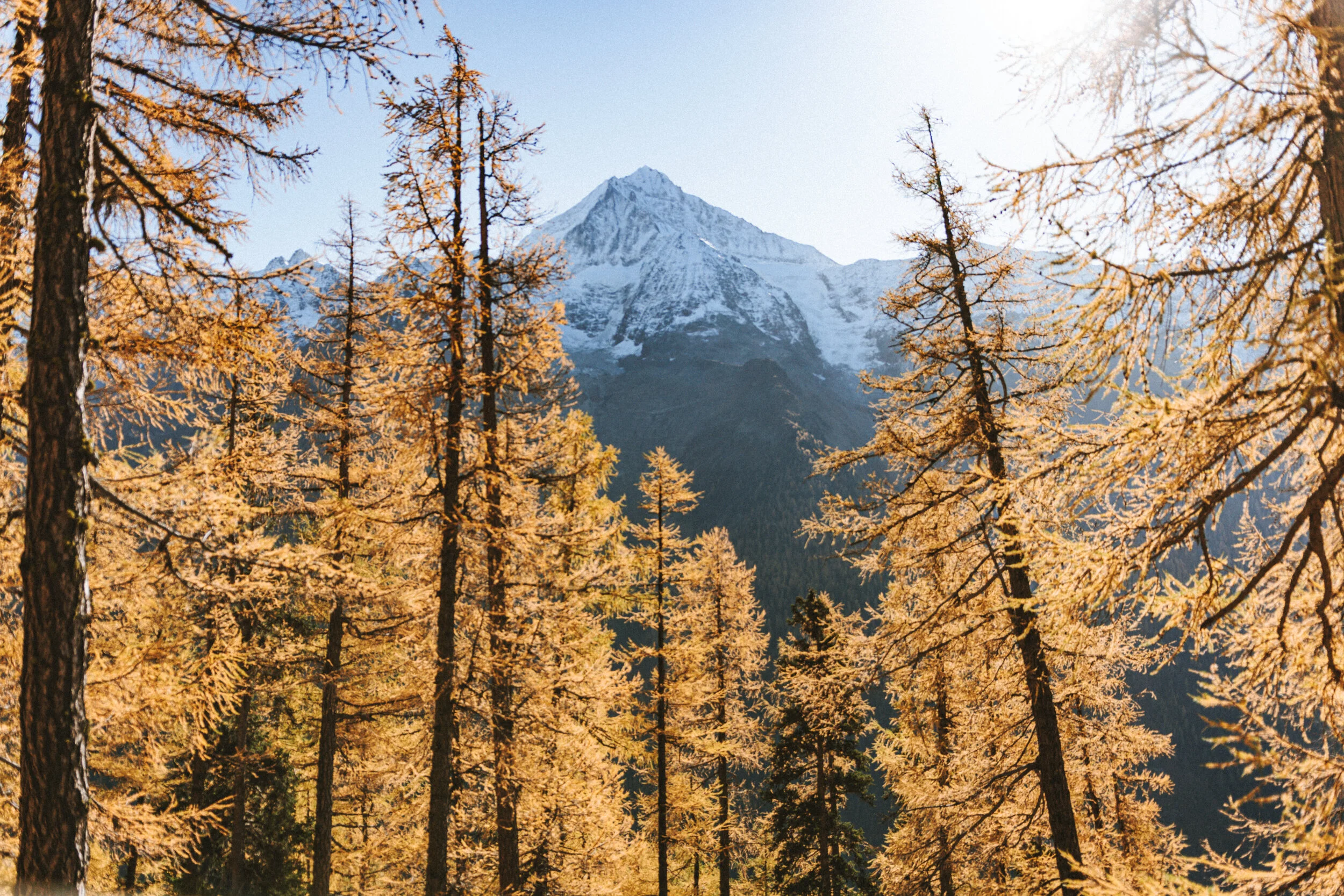 Wander & Listen: Colorful Swiss Alps Travel Journal & Fall Campfire ...