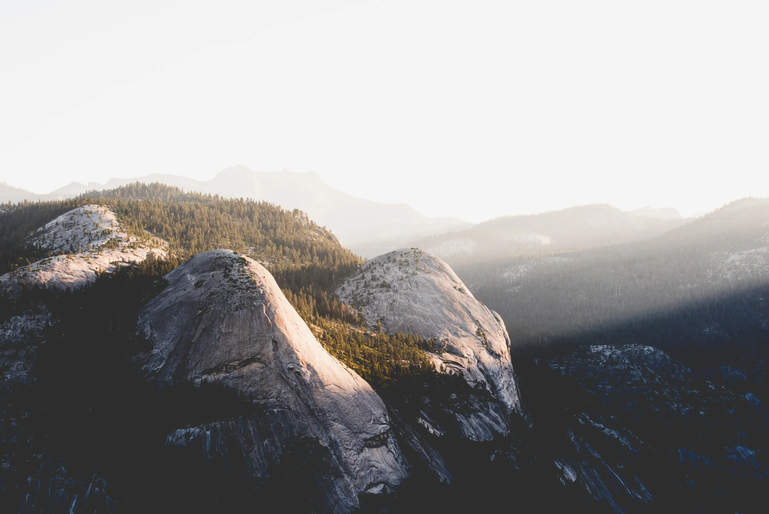 Nature — Albert Halim