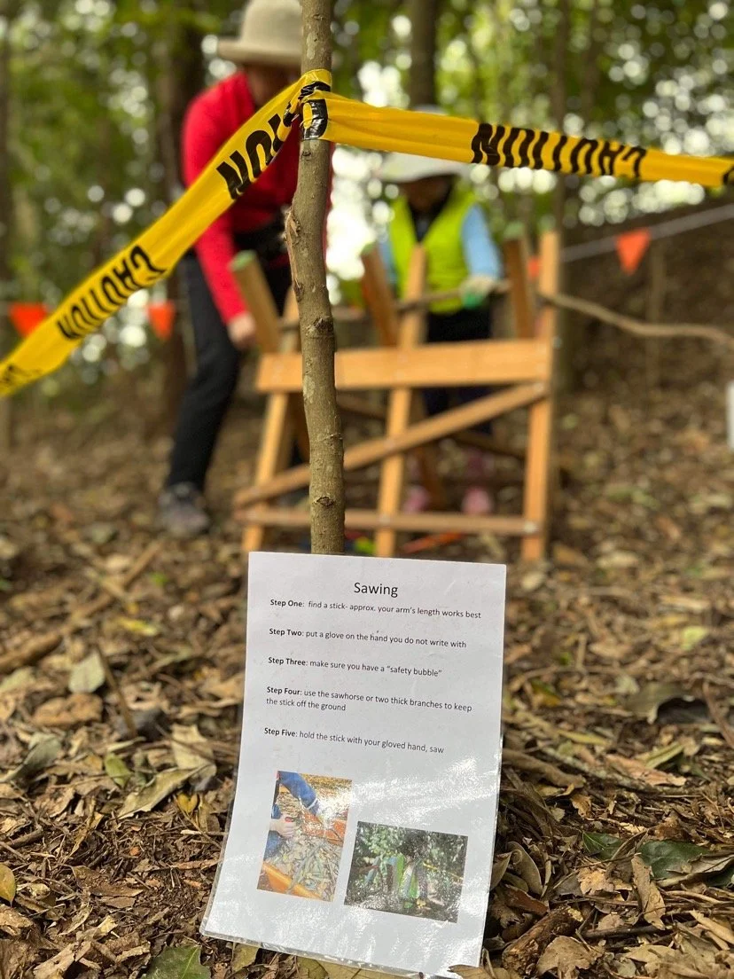 Award Winning Bush Kindy — Chapel Hill Community Kindy