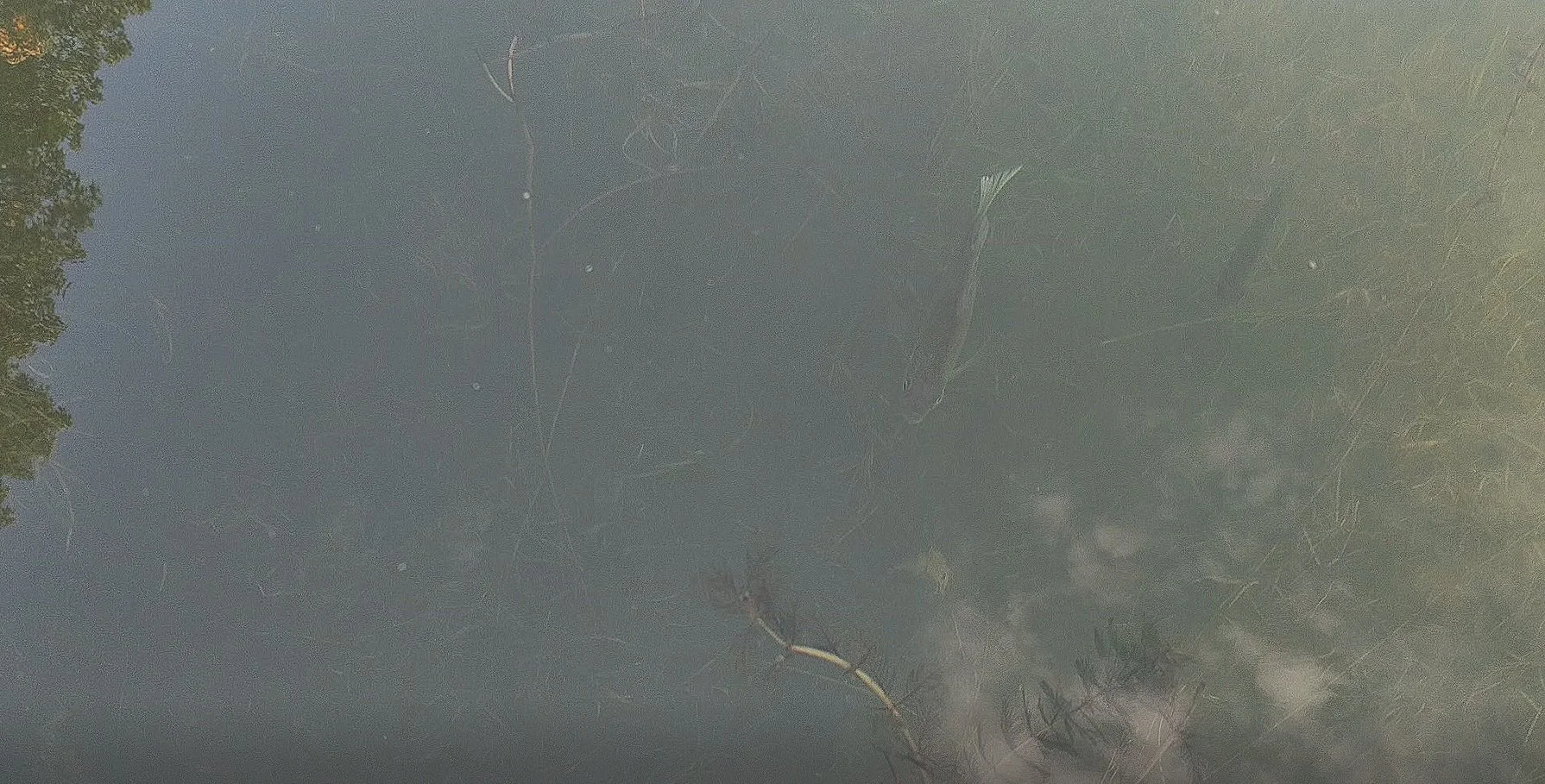 Deep Lake Campground & Vacation Villas