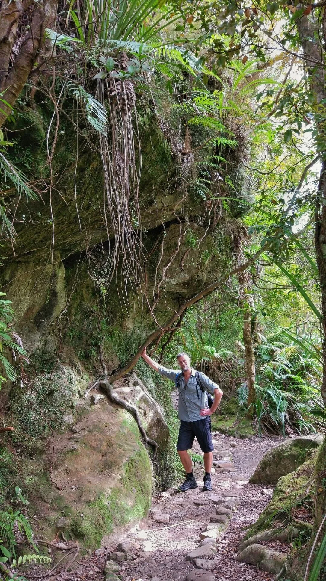 Hiking the Pinnacles Coromandel