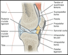 EBM Series: Traumatic Arthrotomy — University Hospitals Emergency ...