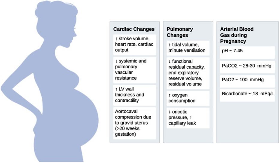 Resus: ECMO Parameters in Obstetric Patients — University Hospitals ...