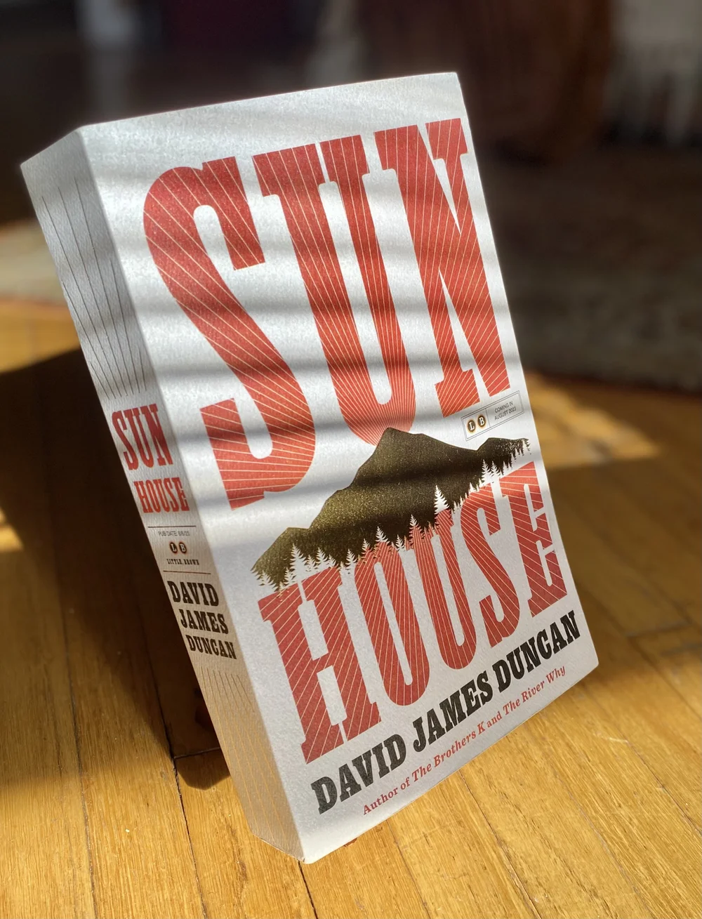 Sun House — David James Duncan