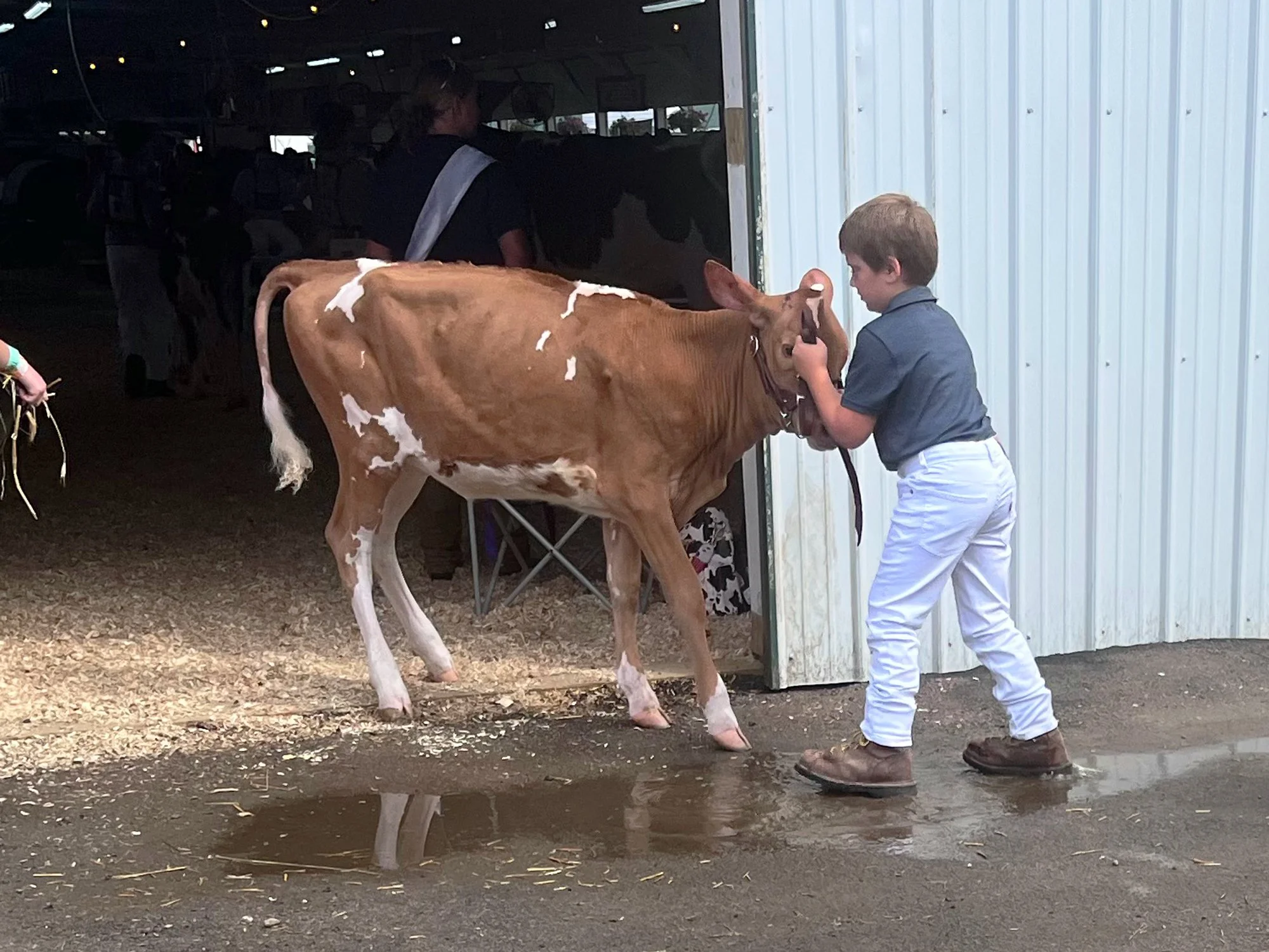 Forms & Entries — Franklin County Fair NY