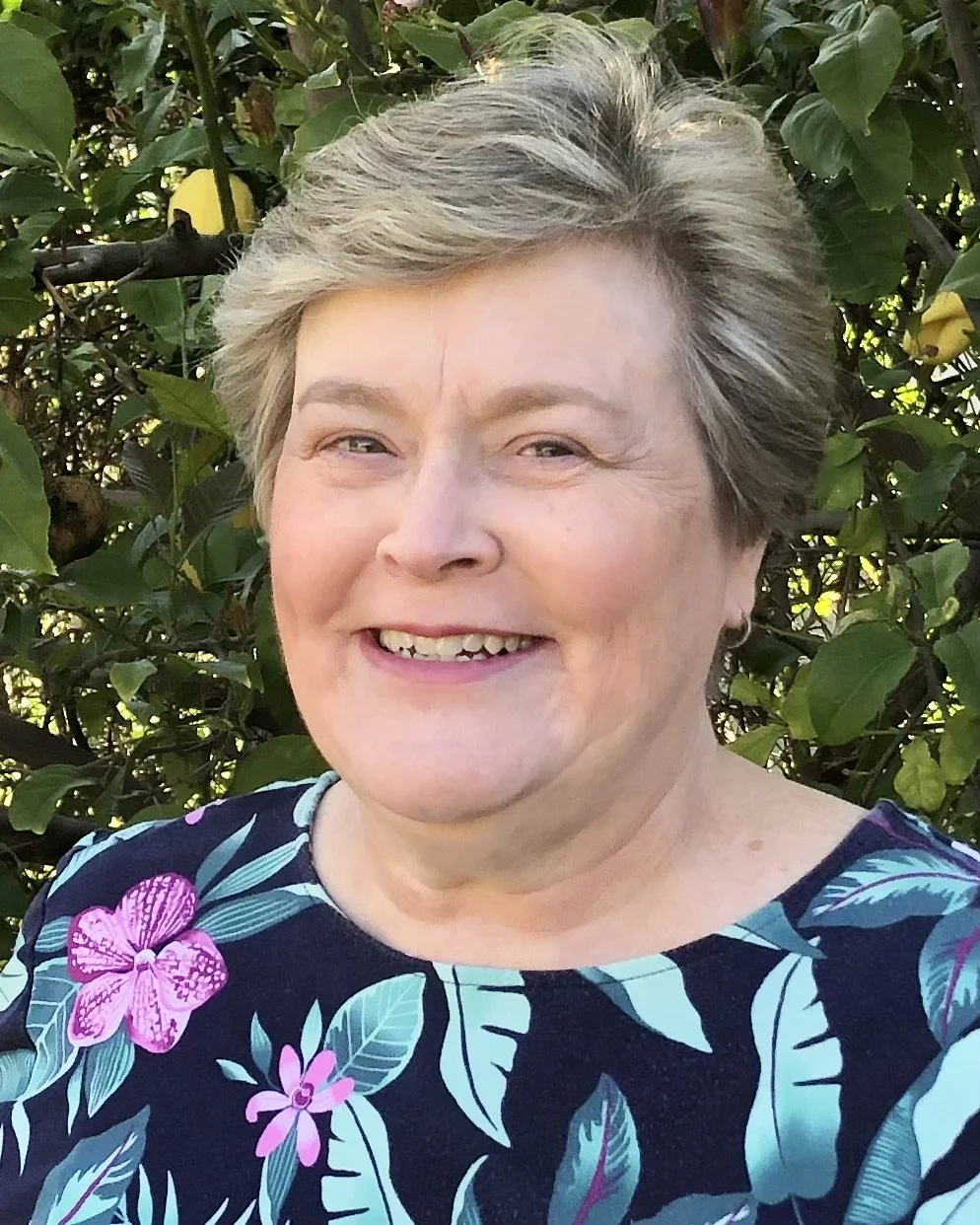 Visit — Mission Community UMC