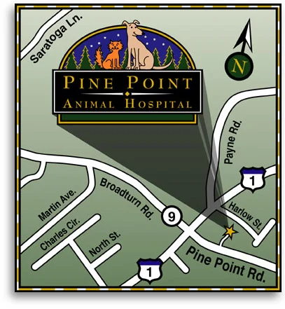 Pine Point Animal Hospital