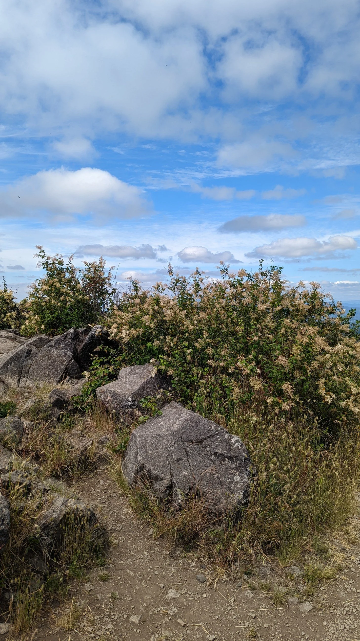 What does it mean to have Awareness? — Magical Experiments