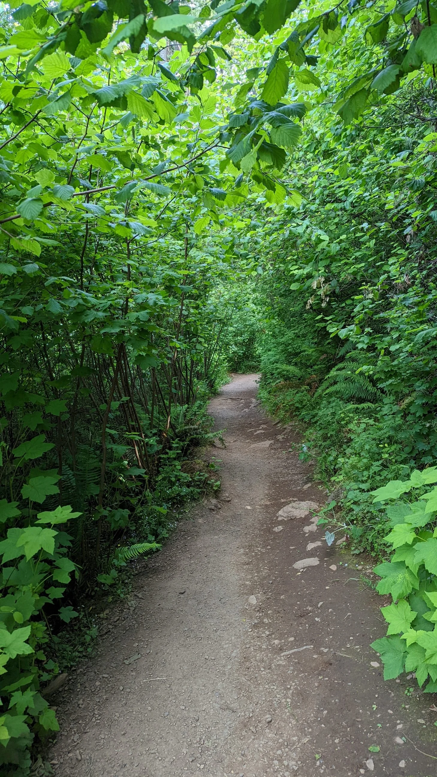 Healing the soul through nature — Magical Experiments