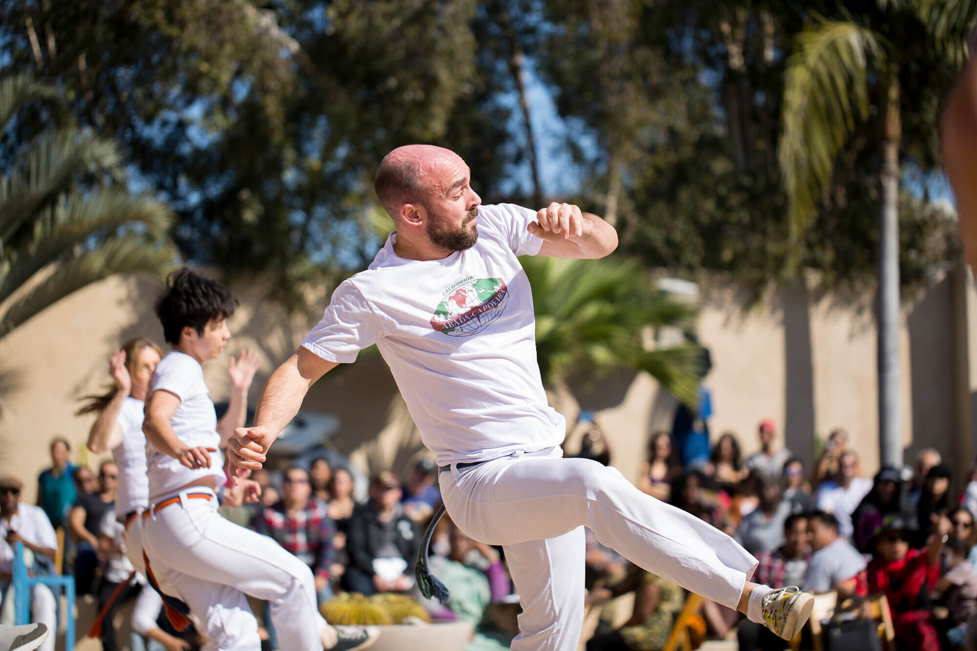 MOLAA’s Afro-Latinx Festival Celebratrates Cultural Intersections ...