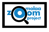 MOLAA Zoom Project – Voluspa Jarpa (Chile) - PRE-RECORDED — MOLAA ...