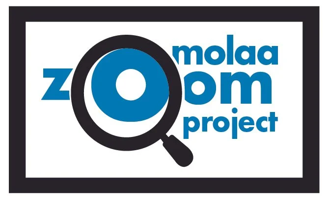 MOLAA Zoom Project –Chiachio & Giannone (Argentina) — MOLAA | Museum of ...