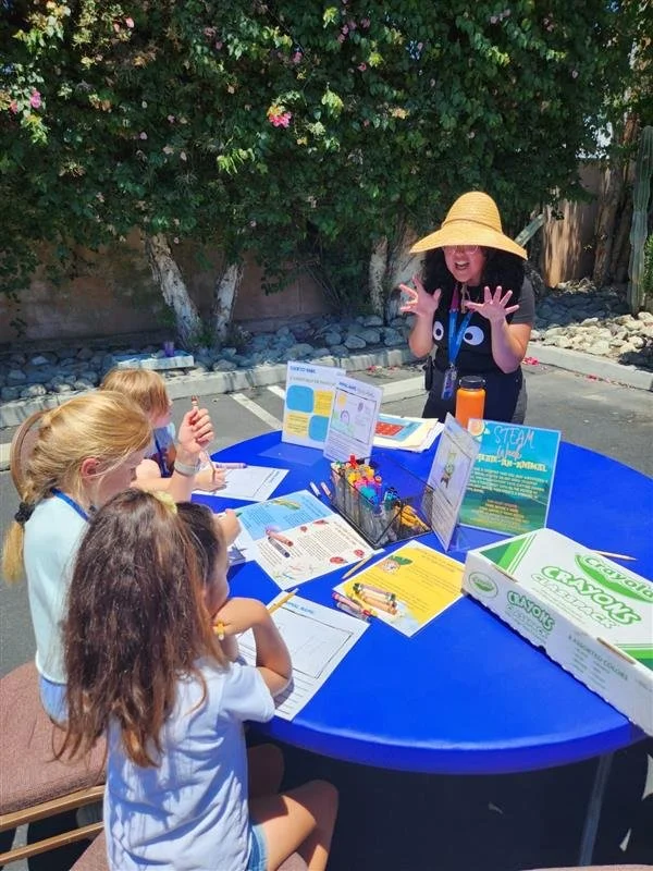 Bilingual Arts & Culture Summer Camp — MOLAA | Museum of Latin American Art