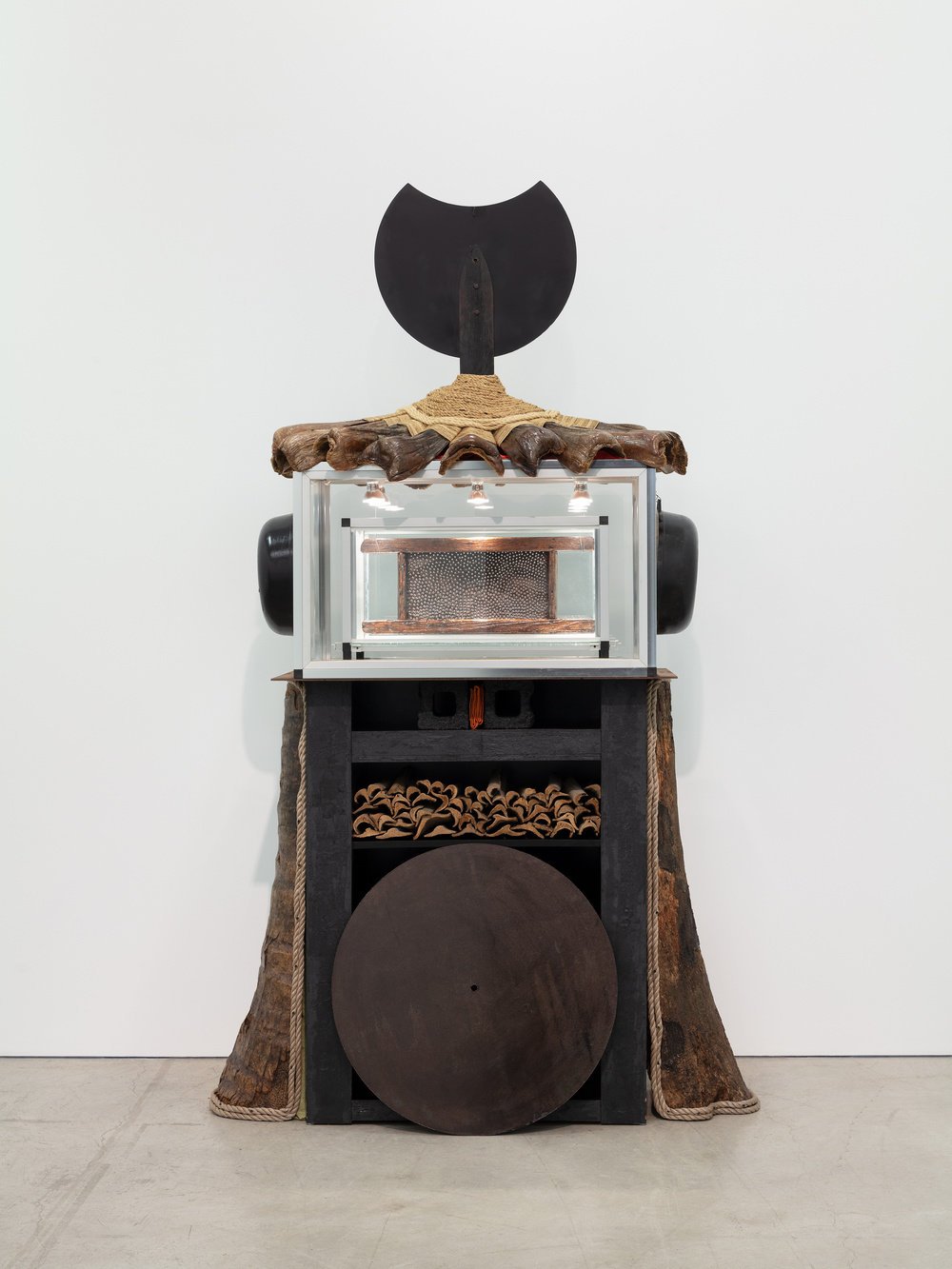 DanielLindRamos — MOLAA | Museum of Latin American Art