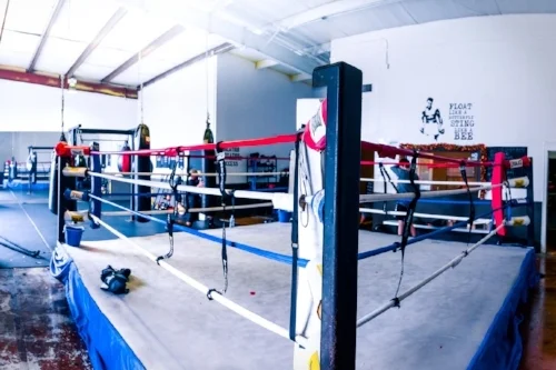 Easley Boxing