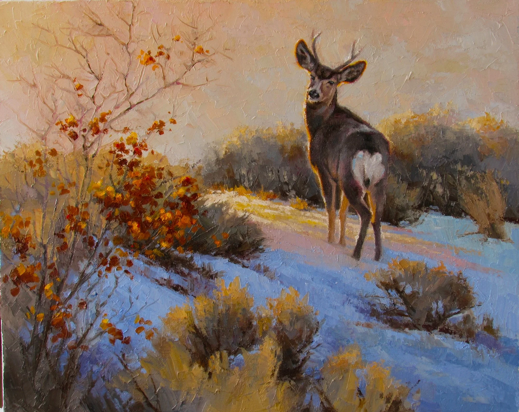 available — Daren Wilding Studio