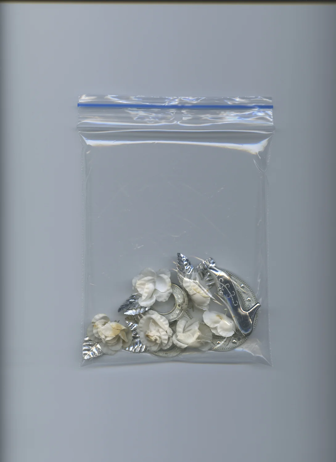 Cathy Tuato’o Ross and Ellen Smith - featured portfolio — PhotoForum