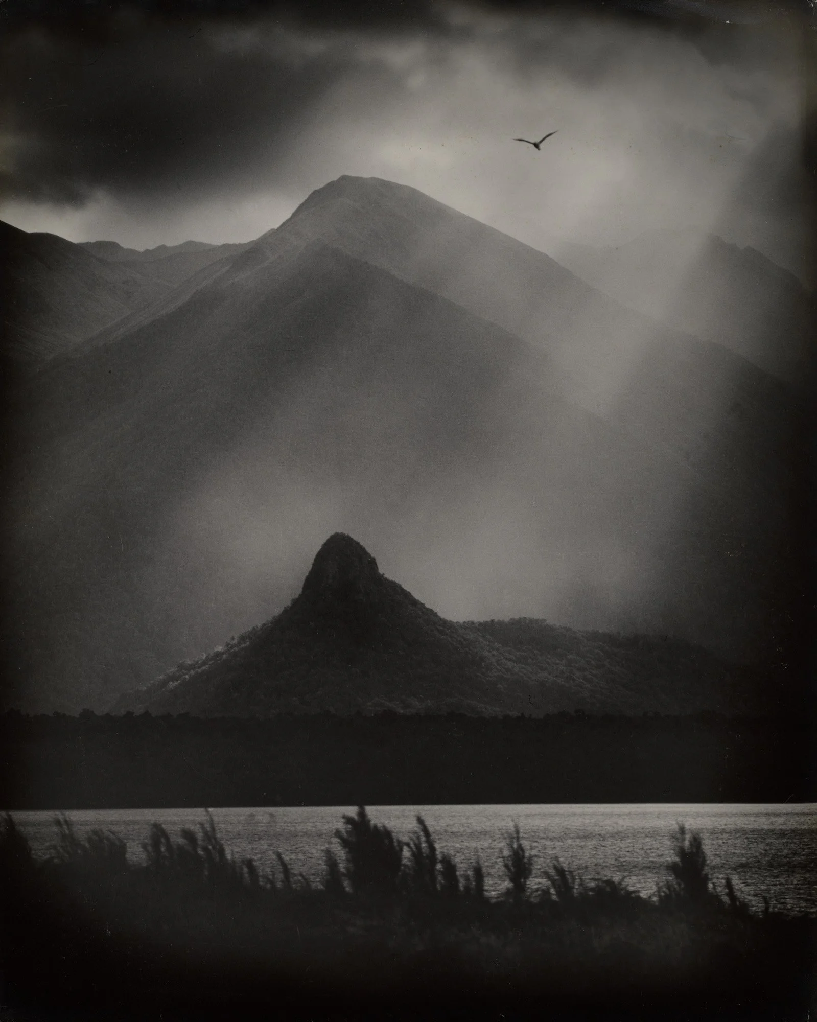 Nature Boy: The Photography of Olaf Petersen — PhotoForum