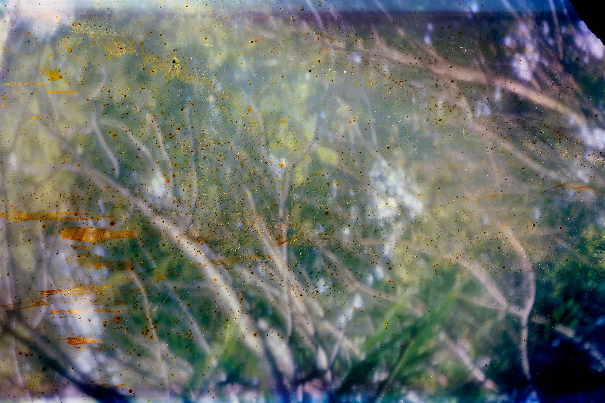 The River Sees — PhotoForum