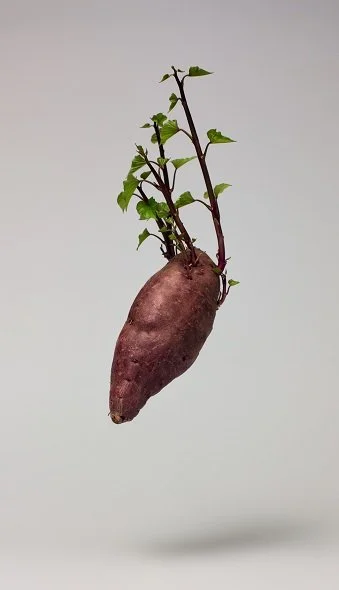 Tinaku — PhotoForum