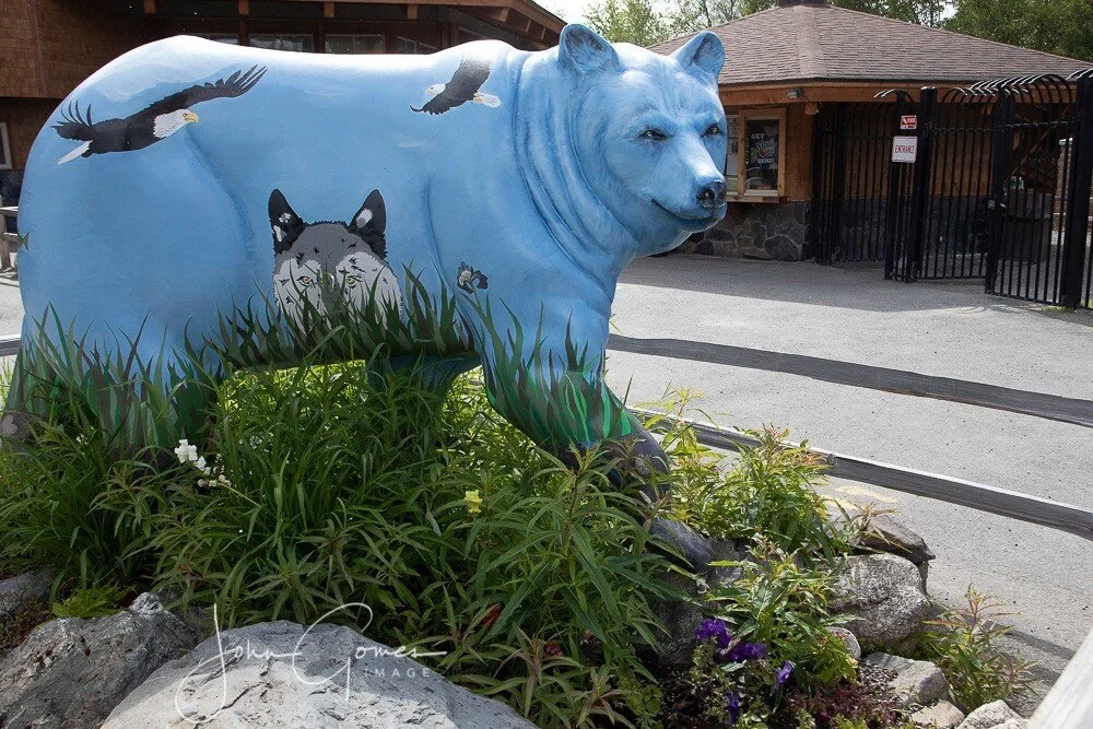 Group Rates for Businesses — The Alaska Zoo