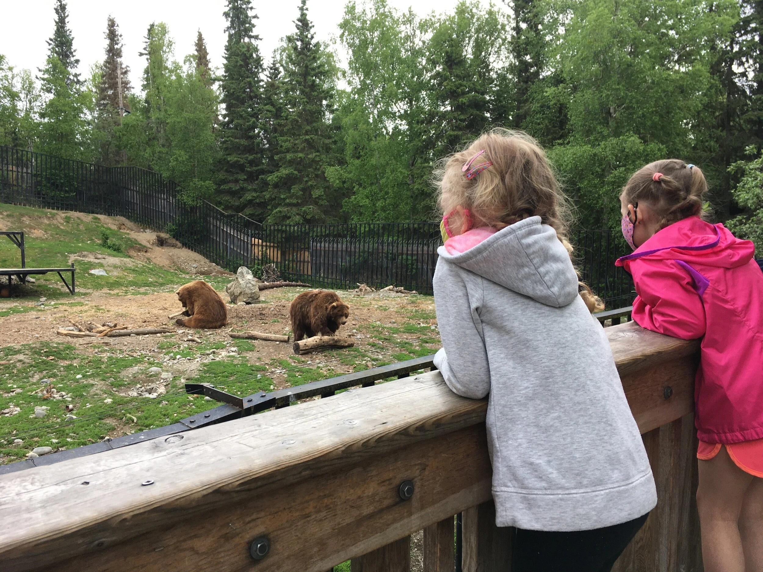 Zoo Field Trip