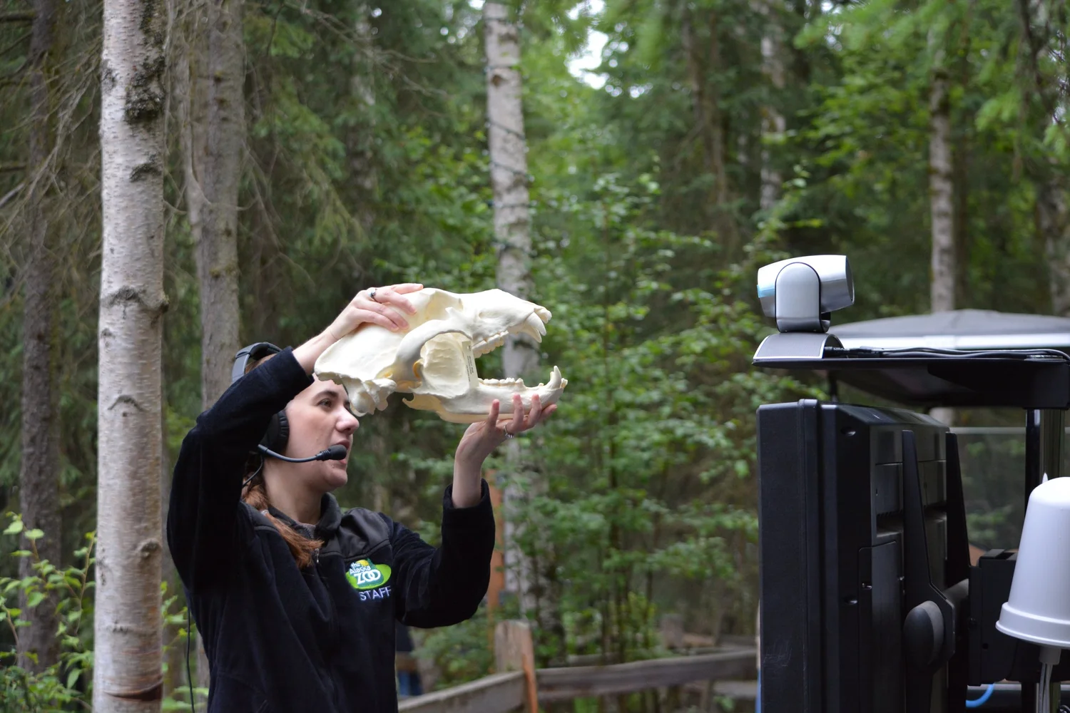 Distance Learning — The Alaska Zoo