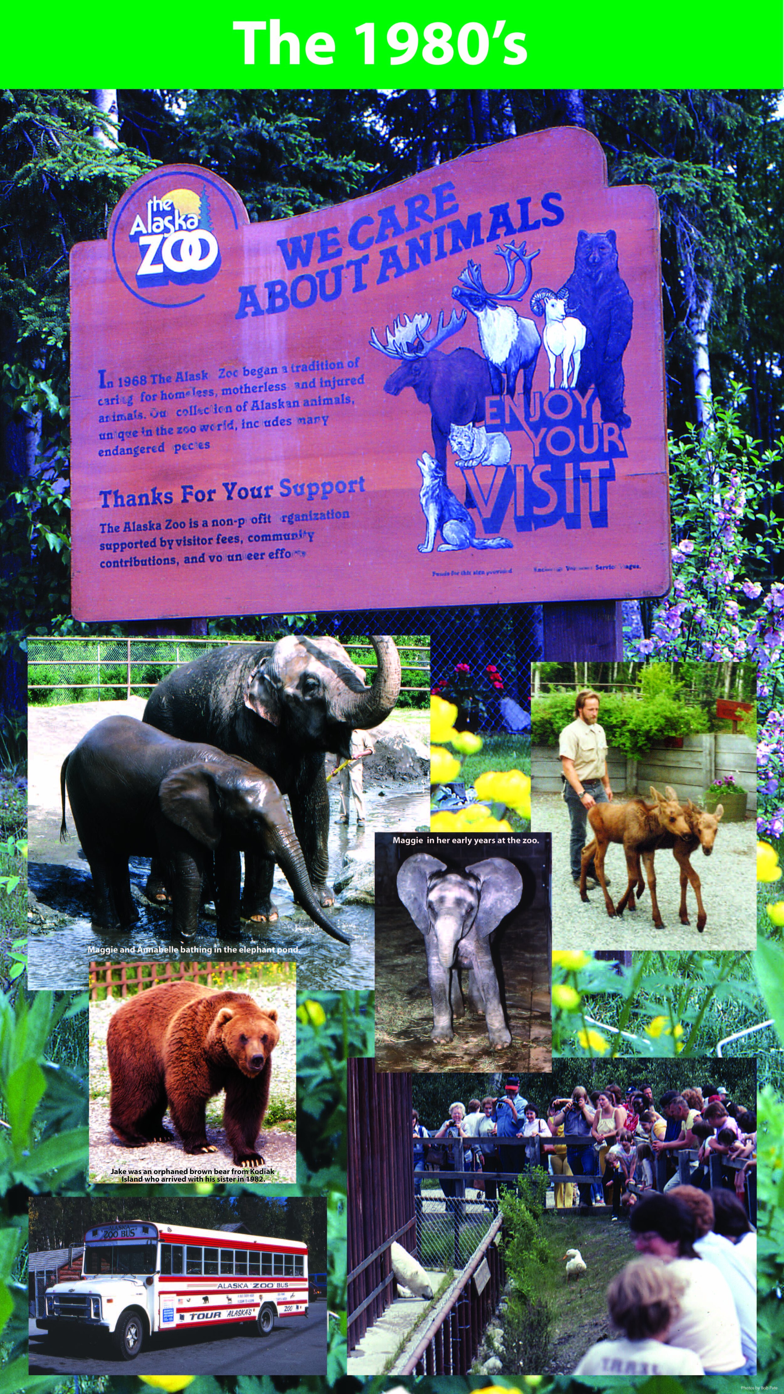 Our Story — The Alaska Zoo