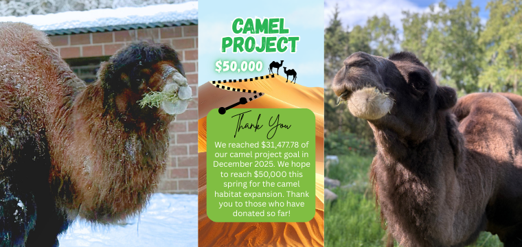 Donation Directory — The Alaska Zoo