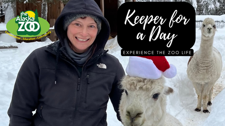 The Alaska Zoo
