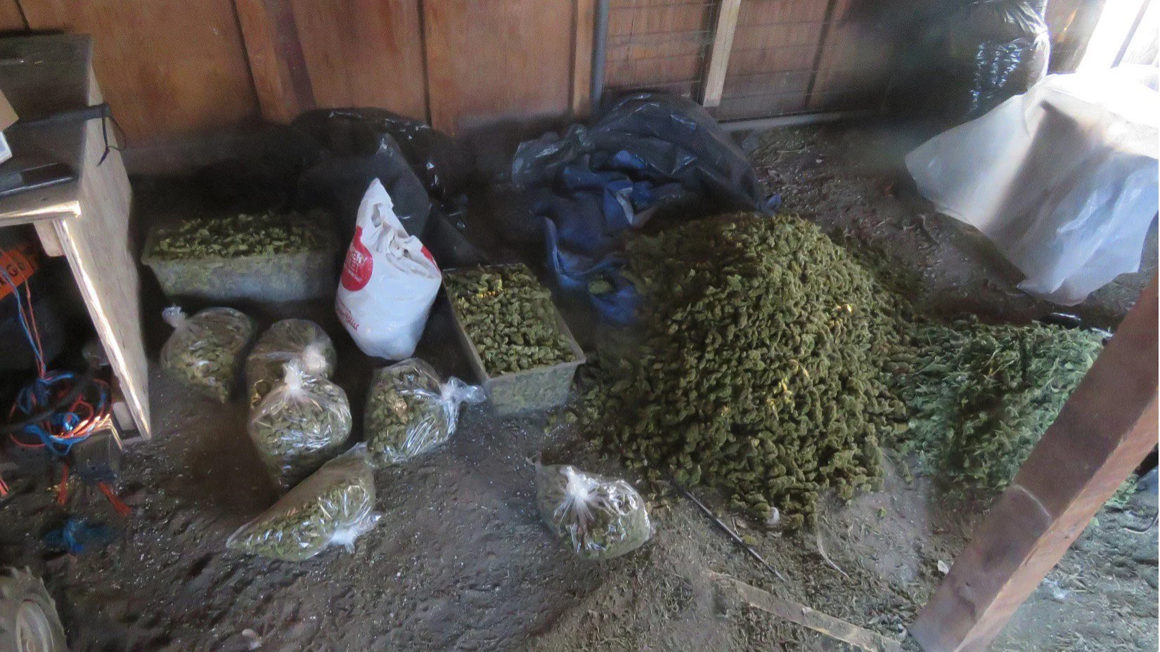 Most Weed Ever