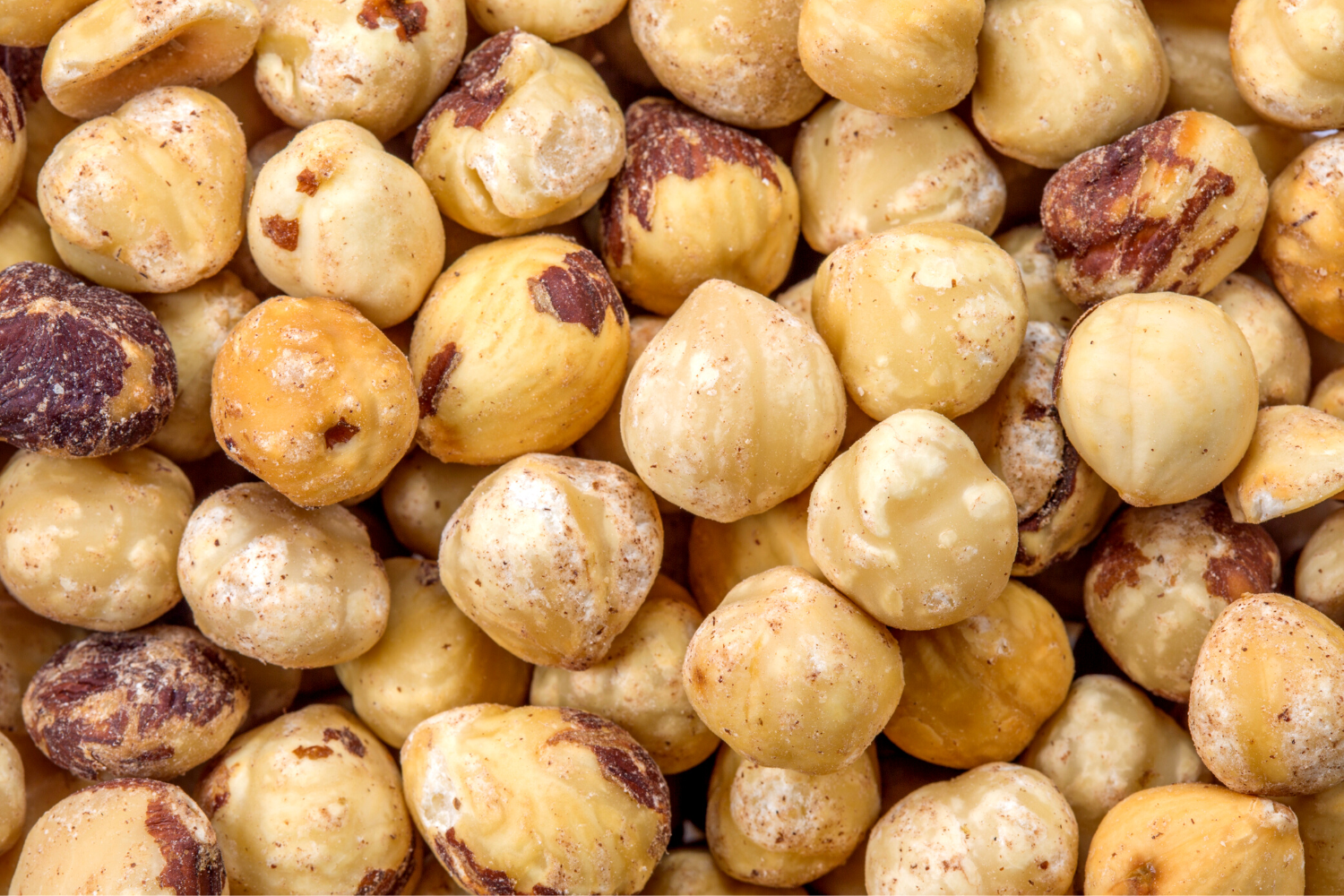 LE NOCCIOLE PIEMONTE IGP TOSTATE DELL'AZIENDA AGRICOLA TARABLE ...