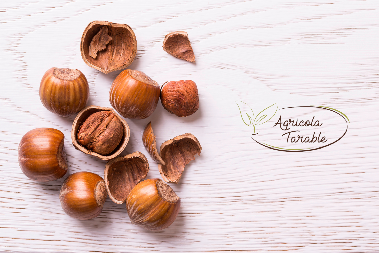 I 5 GRANDI SEGRETI DELLE NOCCIOLE PIEMONTE IGP — Azienda Agricola Tarable